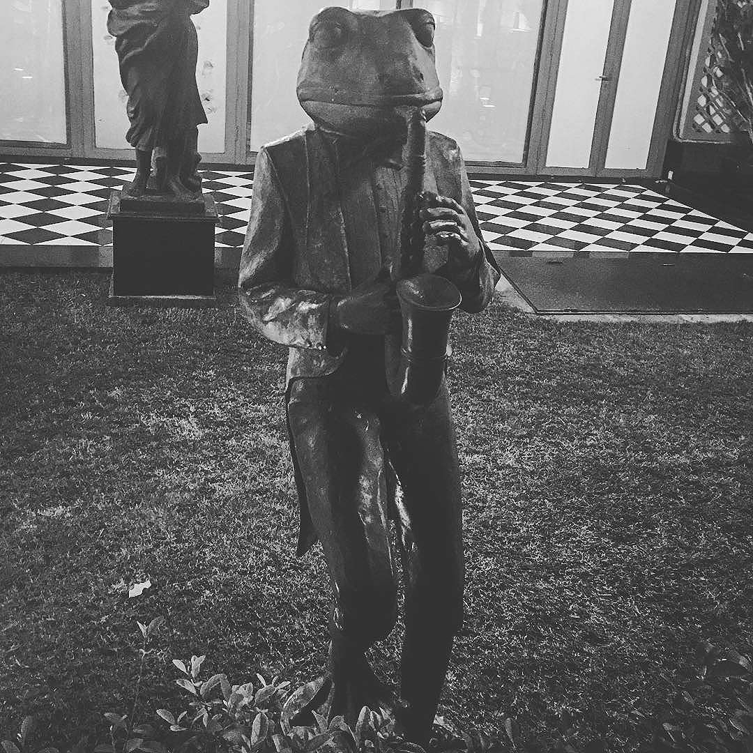 singing frog statue in dubai uae late_night – Alidar Network